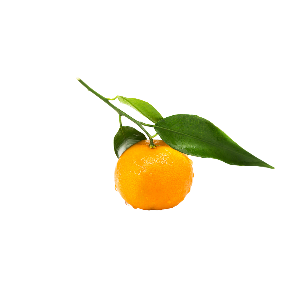 red mandarin – farfalla.eu